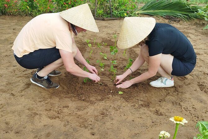 Hoi An Eco Tour Market, Farming, Cooking Class with Foot Massage - Whats Included and What You Should Know