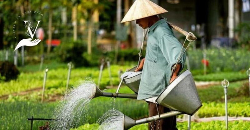 Hoi An Food Tour - Street Eats And Hoi An Hidden Gems - Key Points