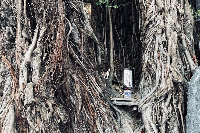 Hoi An Ghosts, Death, Mystery Unveiled - Final Thoughts: Who Should Join?