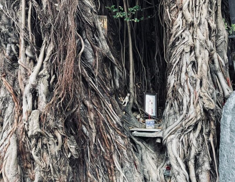 Hoi An Ghosts, Death, Mystery Unveiled - Final Thoughts: Is it Worth It?