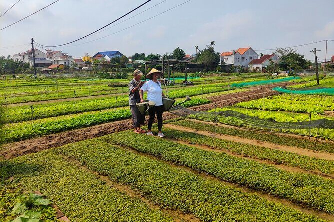 Hoi An Half-Day Bicycle Tour: Visit Herb Village, Row Basket Boat - An In-Depth Look at the Tour Experience