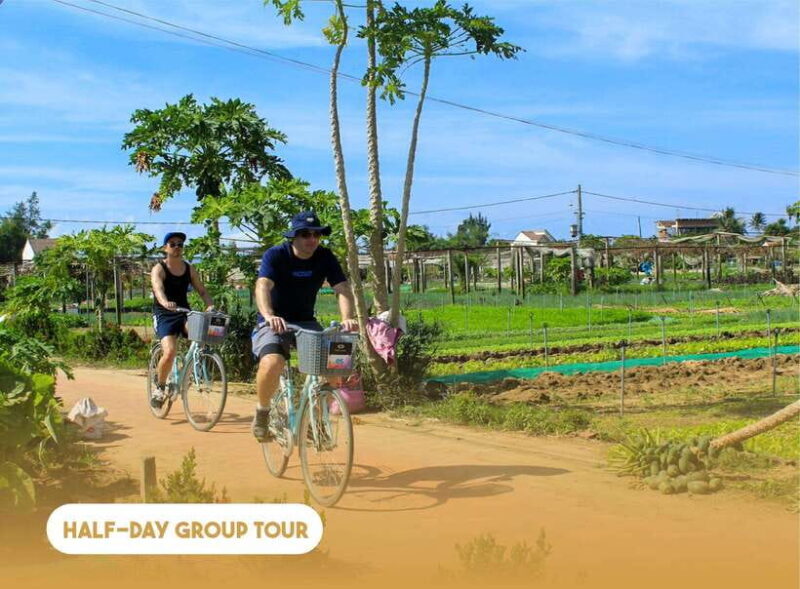Hoi An: Half-day Farm To Table Adventure In Tra Que Village - Why We Think This Tour Offers Great Value