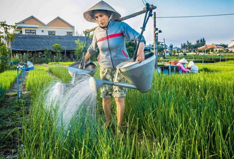 Hoi An: Half-day Farm To Table Adventure In Tra Que Village - Final Thoughts