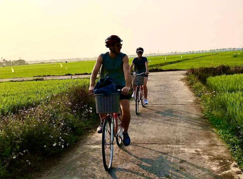 Hoi An: Half-Day My Son Sanctuary Bike Tour - What Makes This Tour Stand Out?