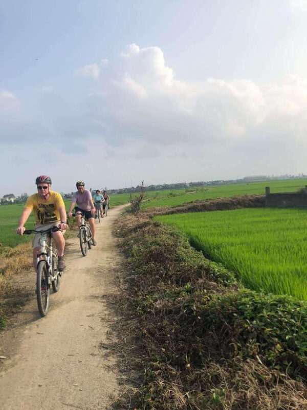 Hoi An: Half-Day My Son Sanctuary Bike Tour - Who Is This Tour Best For?