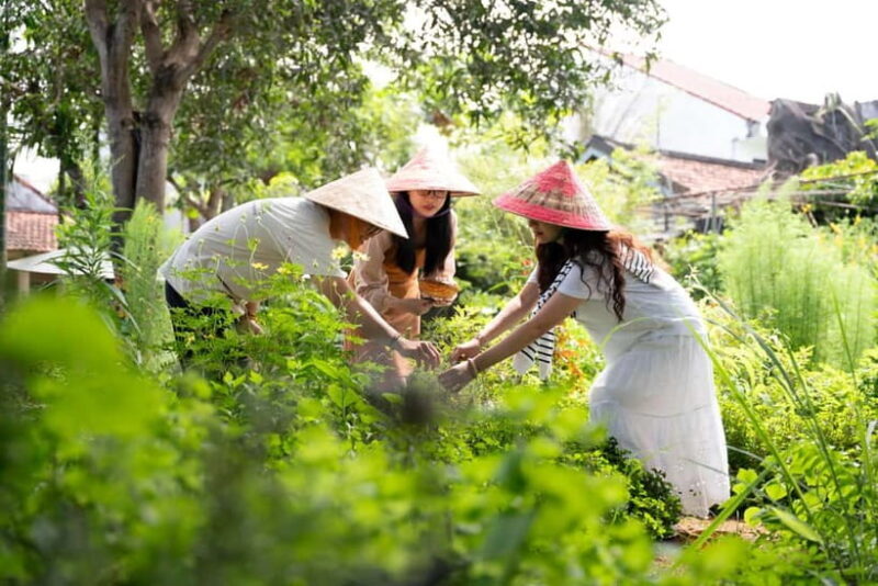 Hoi An Hidden Gem: Vietnamese Coffee Making x Local Herbal - Who Will Love This Experience?