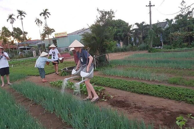 Hoi An Lantern Making Class and Silk Weaving- Vegetable Farming Private Tour - FAQ
