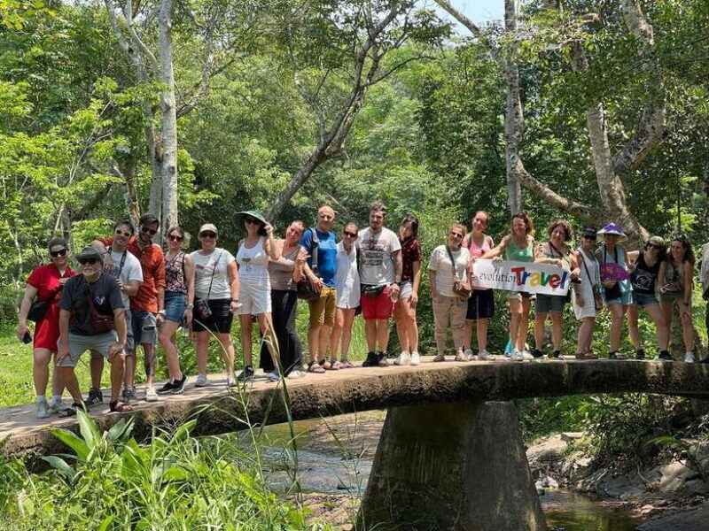 Hoi An: My Son Ruins; Bus-Boat-Cultural Show-Lunch-Guide - The Temples and Wildlife