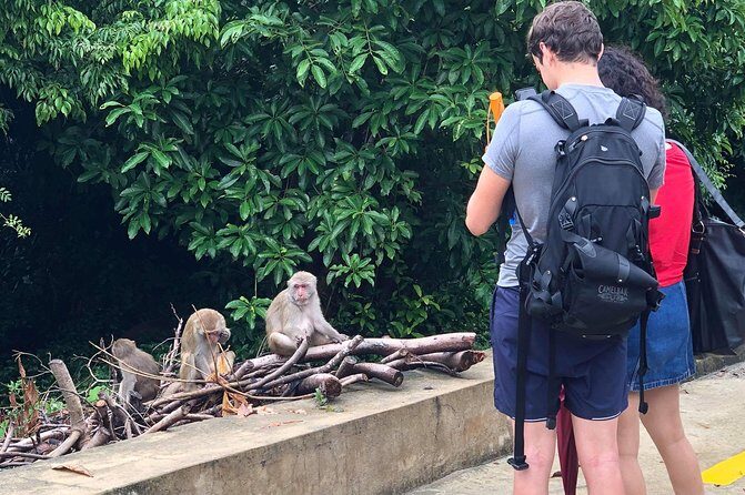 Hoi An or Da Nang to Golden Bridge, SonTra Monkey Mountain, Marble Mountain - What to Expect from the Tour