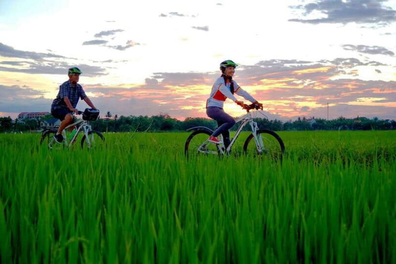 Hoi An: Private Evening Food Tour by Bike - Key Points