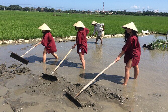 Hoi An Rice Farm Tour and Buffalo Riding with Local Home Meal - Key Points