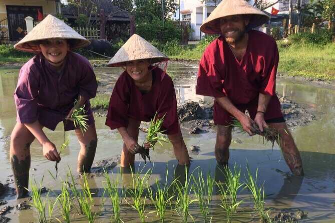Hoi An Rice Farm Tour and Buffalo Riding with Local Home Meal - Who Is This Tour Best For?