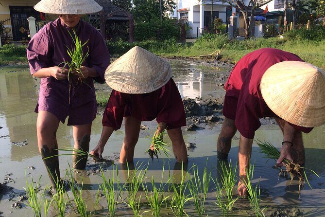 Hoi An Rice Farm Tour and Buffalo Riding with Local Home Meal - The Sum Up