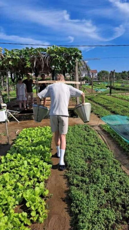 Hoi An: Rural Bike Tour and Traditional Villages - Key Points