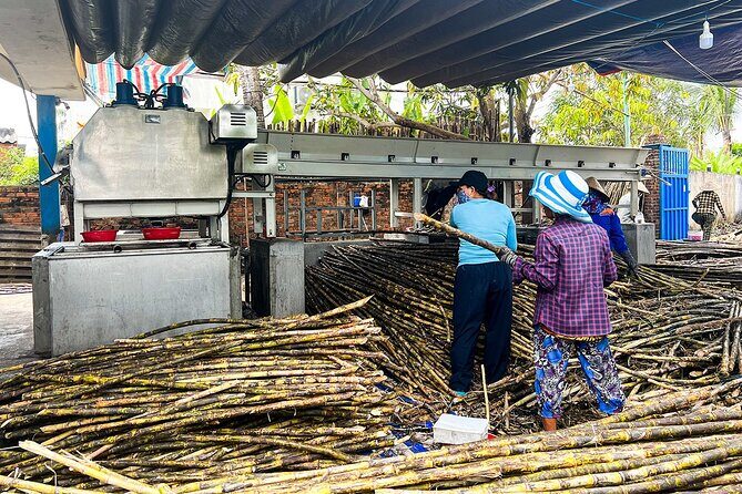 Hoi An Scenic River Cruise And Village Tour - Who Will Enjoy This Tour