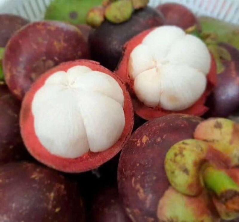 Hoi An seafood, tropical fruits tasting and making lantern. - A Taste of Hoi An: Seafood, Fruits, and Lanterns