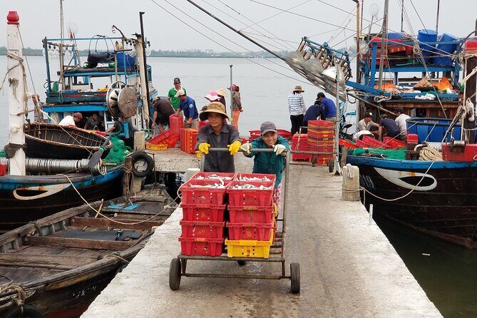Hoi An Sunrise Private Half Day Tour - Who Will Love This Tour?