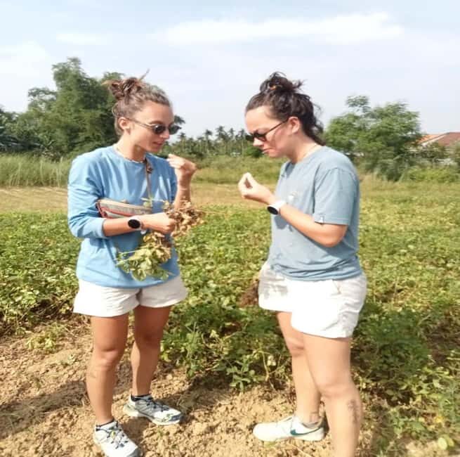 HOI AN TO MY SON SANCTUARY & COUNTRYSIDE BY EASYRIDE - A Closer Look at the Experience