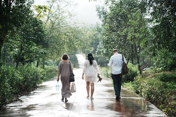 Hoi An to My Son Sanctuary Morning with Professional Photographer - Who Should Consider This Tour?