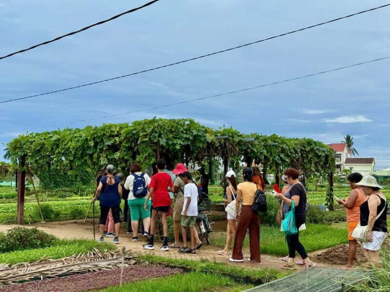 Hoi An: Trà Qu Village Cafe Tour with Local Guided - Introduction