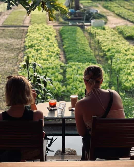 Hoi An: Trà Qu Village Cafe Tour with Local Guided - Key Points