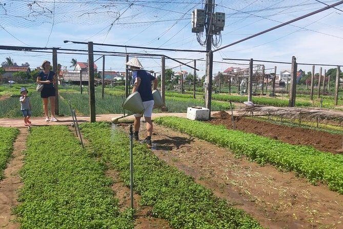 Hoi an Tra Que vegetable village & cooking class - Who Will Love This Tour?