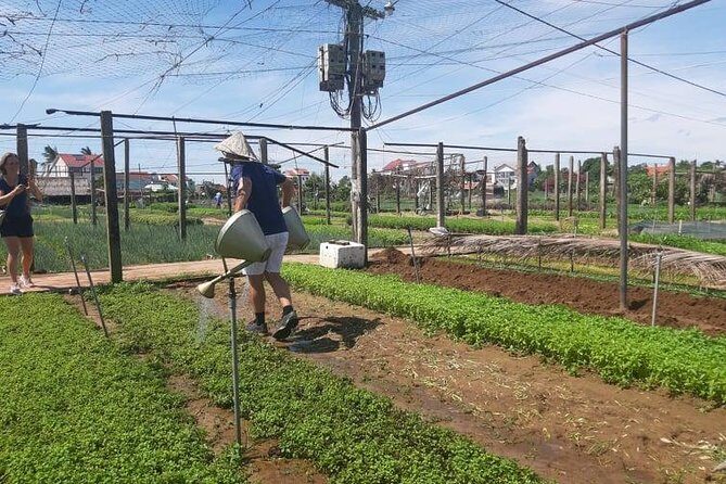 Hoi an Tra Que vegetable village & cooking class - Frequently Asked Questions