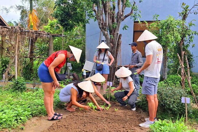 Hoi An Vespa Tour: Hoi An Rural Life & Cooking Class - Who Should Consider This Tour?