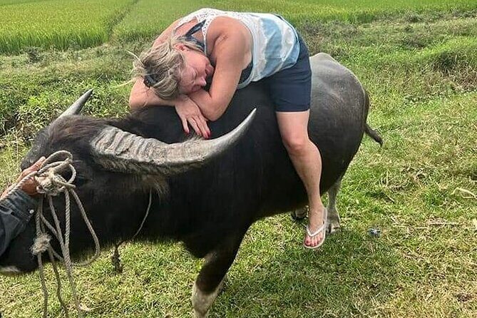 Hoi An Village Experience with 3 Villages (Escape From Noise of City ) & Lunch - A Closer Look at the Itinerary