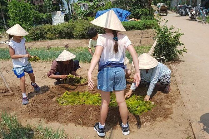 Hoi An Village Experience with 3 Villages (Escape From Noise of City ) & Lunch - Who Should Consider This Tour?