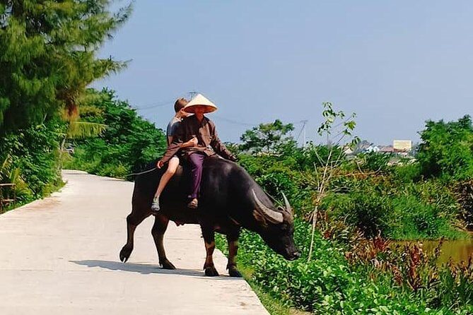 Hoi An Village Experience with 3 Villages (Escape From Noise of City ) & Lunch - FAQ