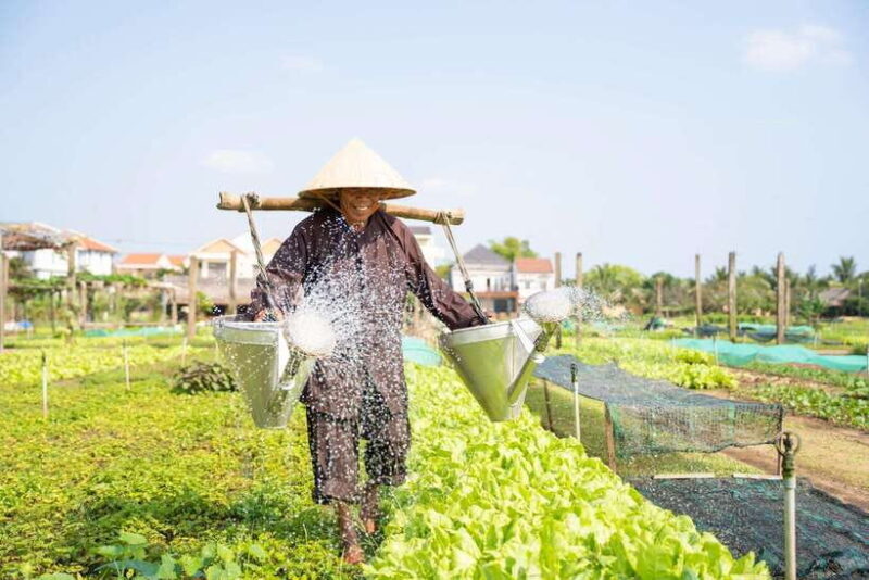 Hoi An: Village Life, Basket Boats, and Sunset Serenity - Detailed Breakdown of the Tour