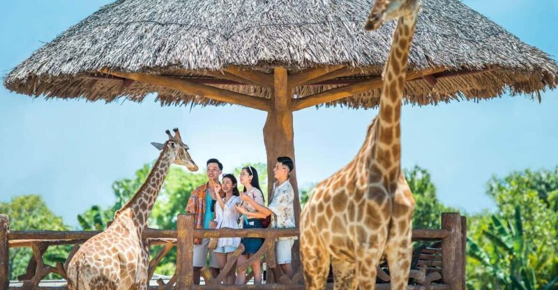 Hoi An: Vinwonders Nam Hoi An Theme Park Entry Ticket - The Bottom Line: Who Should Visit?