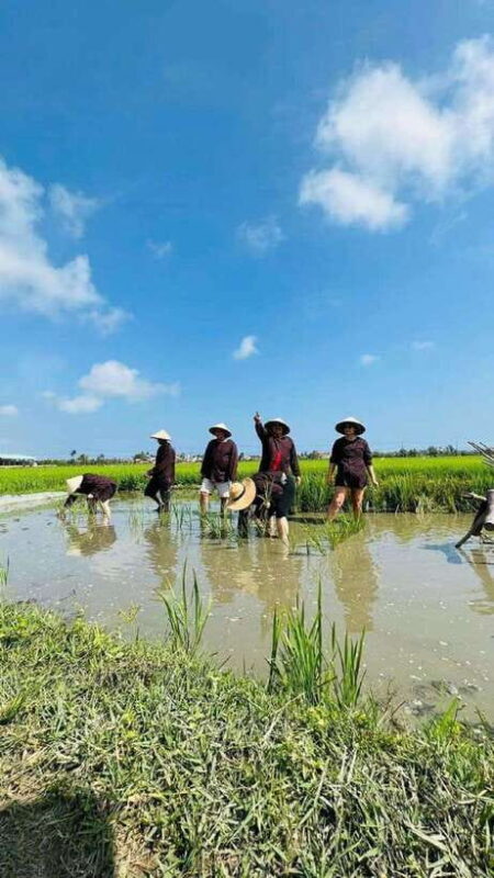 Hoi An Wet Rice Farming Tour-Basket Boat Tour Fishing-Lunch - An In-Depth Look at the Tour Experience