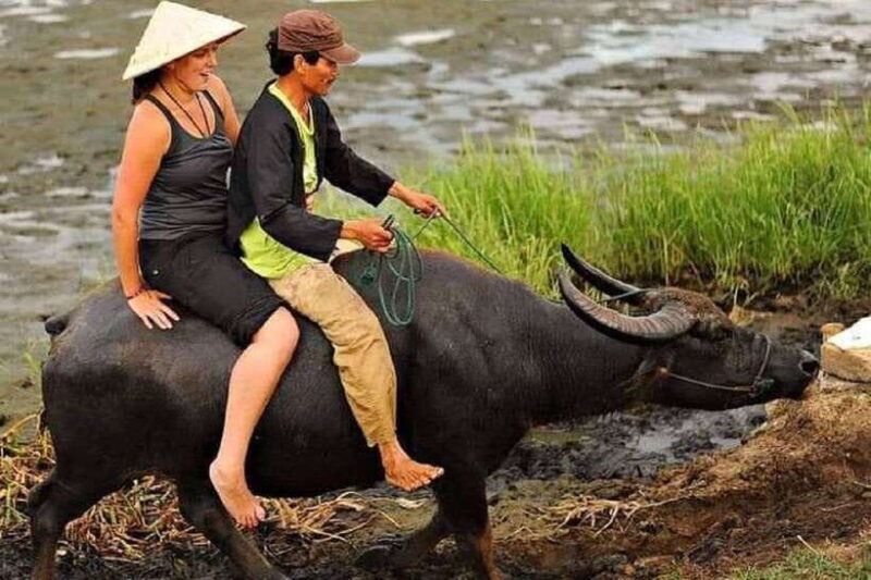 Hoi An Wet Rice Farming Tour-Basket Boat Tour Fishing-Lunch - Additional Considerations