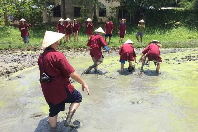 Hoi An Wet Rice Farming Tour-Basket Boat Tour Fishing-Lunch - Who Will Enjoy This Tour?