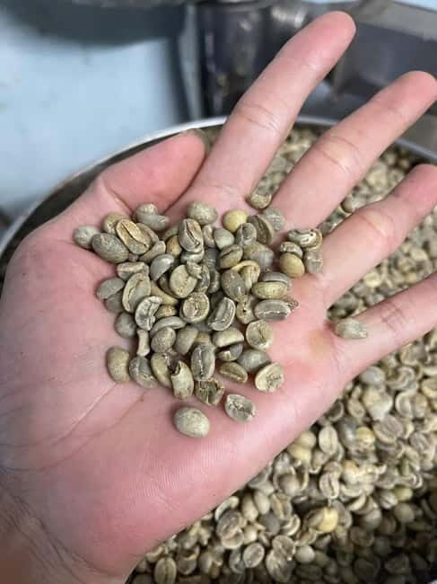 Hoi An:Coffee Making Class (Coffee: egg, Salt, Coconut, ...) - Introduction