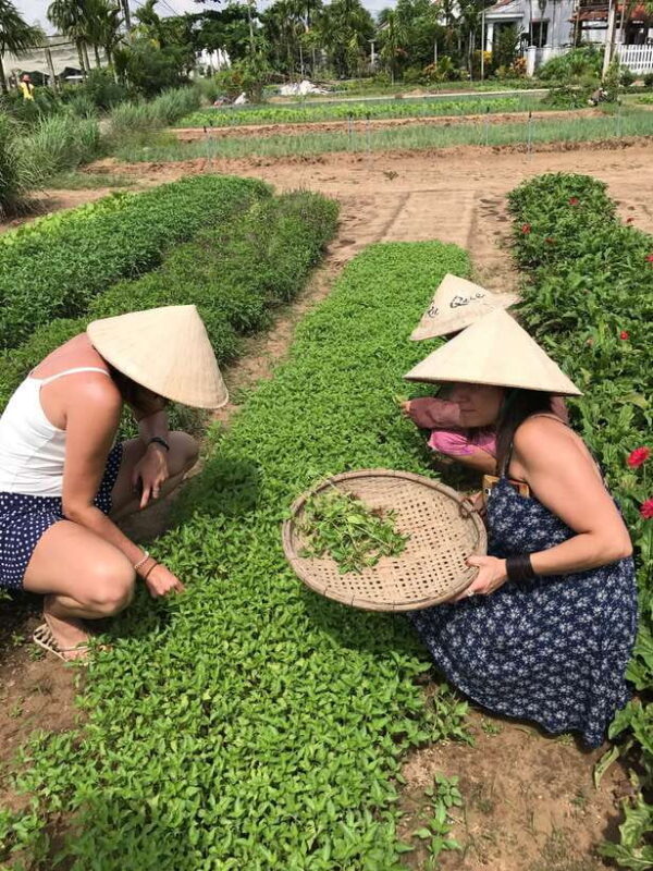 Hoian/Da Nang: Fishing, basket riding and cooking class - An In-Depth Look at the Tour Experience