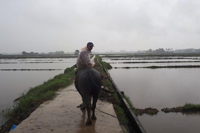 Hoian Full-Day Exploring, Handicraft Museum, Custom Suit Tailoring - The Bottom Line
