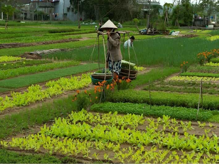HOIAN: LANTERN MAKINGFARMER AT TRA QUE SMALL GROUP - Hands-On Farming at Tra Que Vegetable Village