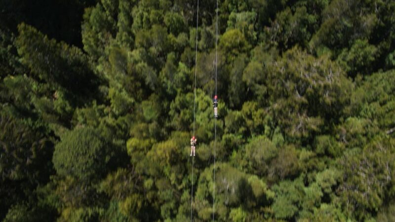 Hokitika: West Coast Tree Top Tower Zip Line and Walk - A Closer Look at the Experience