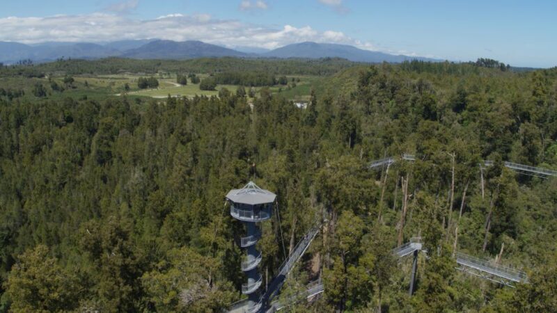 Hokitika: West Coast Tree Top Tower Zip Line and Walk - The Itinerary in Detail