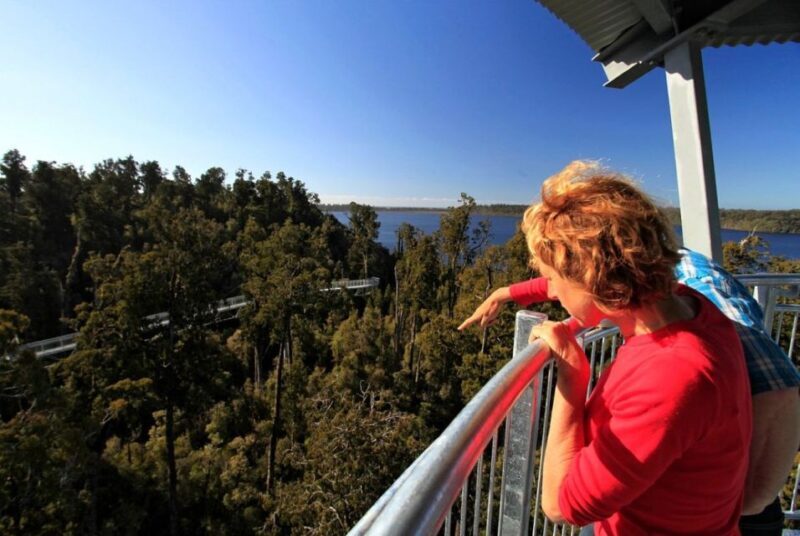 Hokitika: West Coast Tree Top Tower Zip Line and Walk - FAQs
