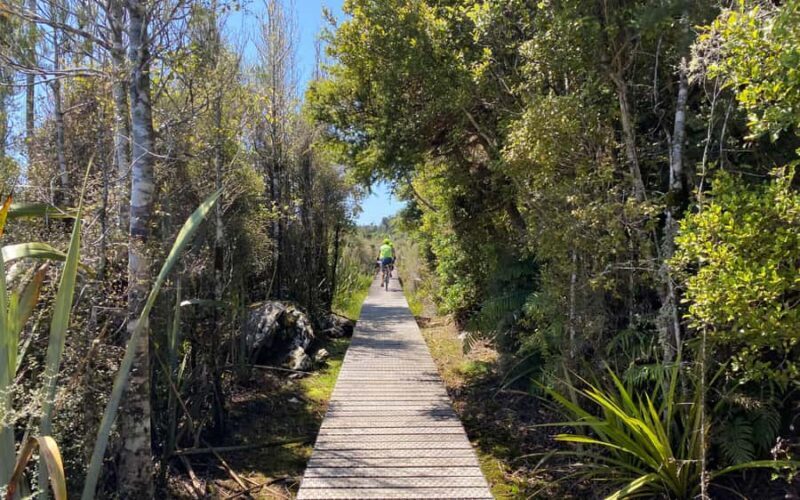 Hokitika: Wilderness Trail eBike Tour & Hokitika Gorge Walk - Who Will Love This Tour?