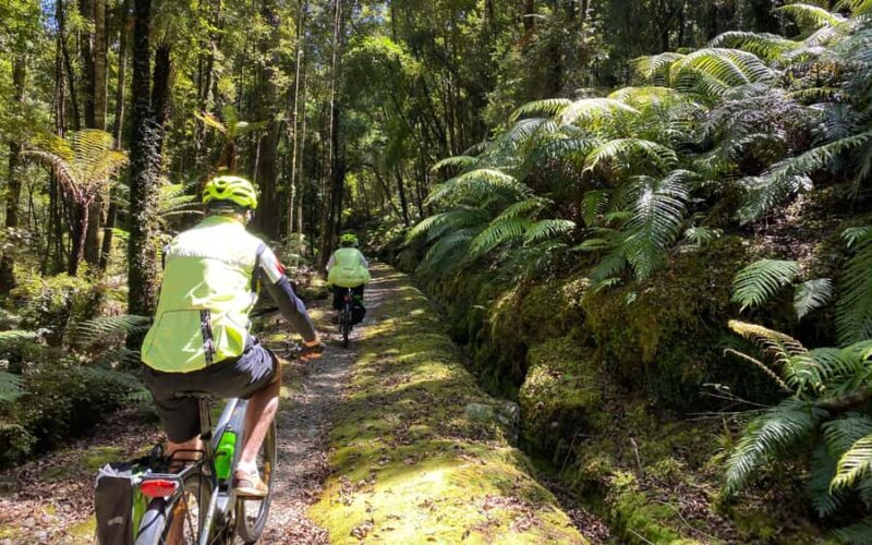 Hokitika: Wilderness Trail eBike Tour & Hokitika Gorge Walk - FAQ