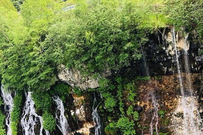 Hokkaido Asahiyama Zoo and Blue Pond Elf Terrace Day Trip - Who Should Consider This Tour?