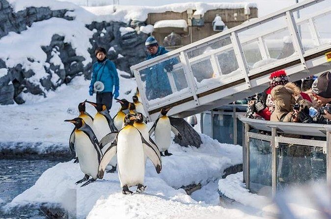 Hokkaido Asahiyama Zoo Biei Elf Terrace Day Tour - Final Thoughts