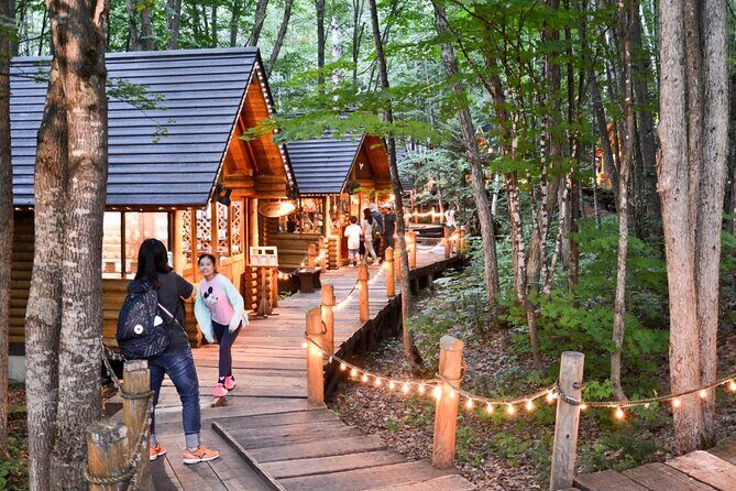 Hokkaido Asahiyama Zoo, Biei & Ningle Terrace Day Tour | Hokkaido - Exploring Hokkaido in a Day: A Balanced Look at the Asahiyama Zoo, Biei & Ningle Terrace Tour