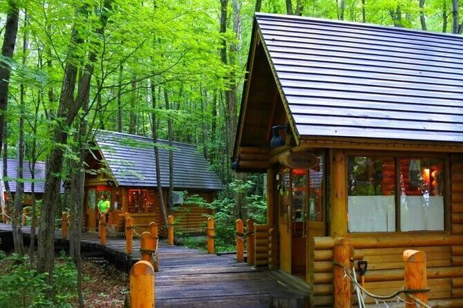 Hokkaido Asahiyama Zoo, Biei & Ningle Terrace Day Tour | Hokkaido - Who Will Love This Tour?