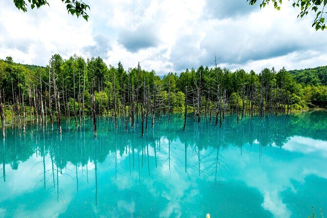 Hokkaido Asahiyama Zoo, Biei & Ningle Terrace Day Tour | Hokkaido - FAQs